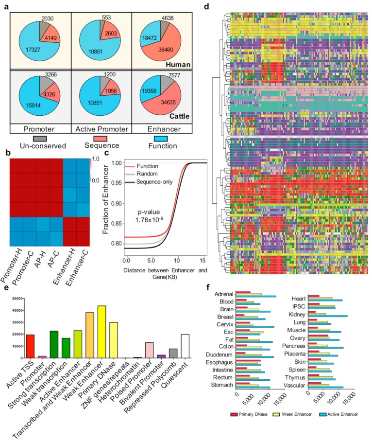 Identification and conservation analysis of cis-regulatory elements in pig liver | Lu Zhang